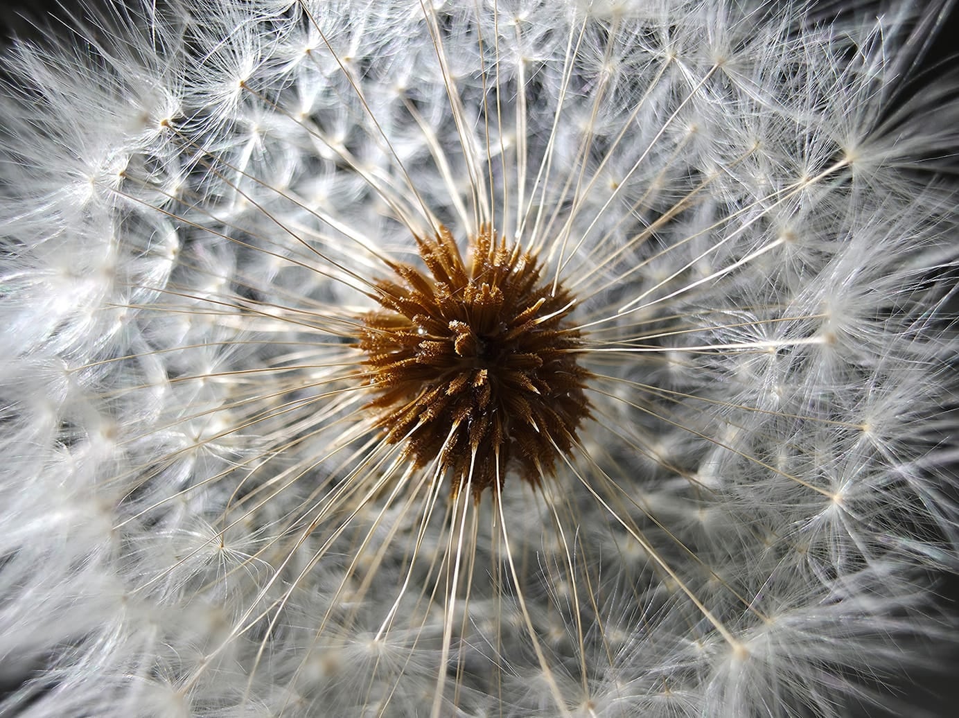 Samsung Galaxy S25 Ultra - Rowda Electronics | Smartphones ...