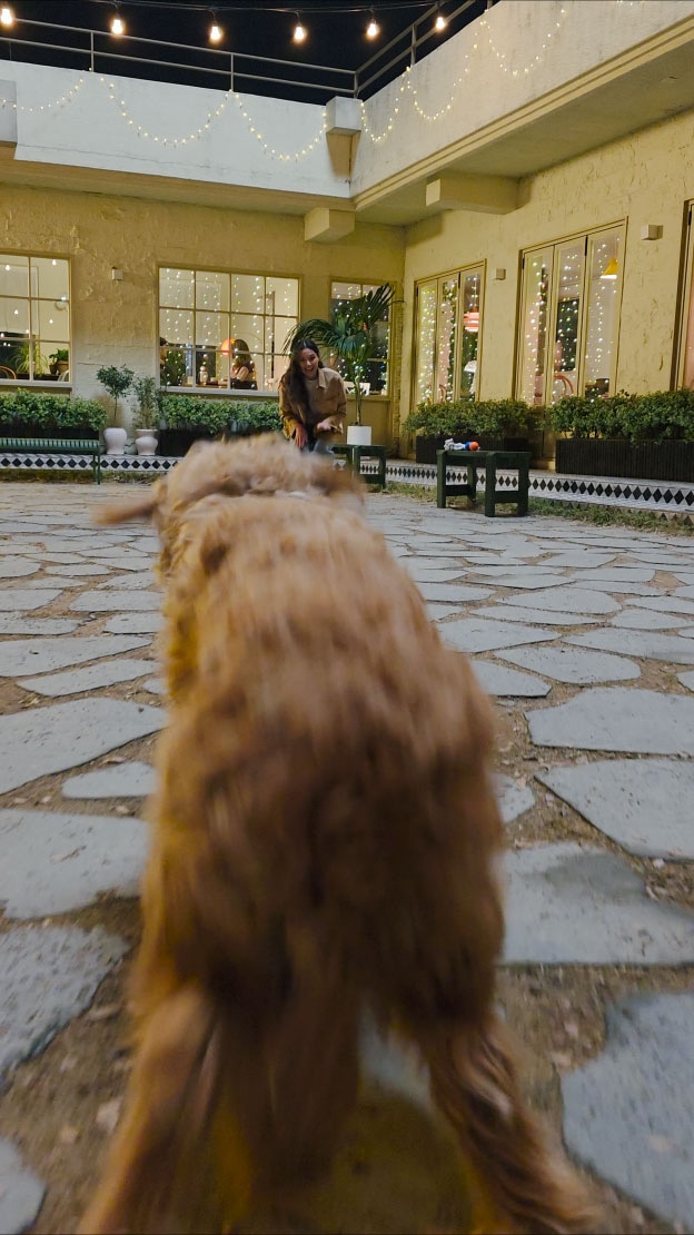 Samsung Galaxy S25 Ultra - Rowda Electronics | Smartphones ...