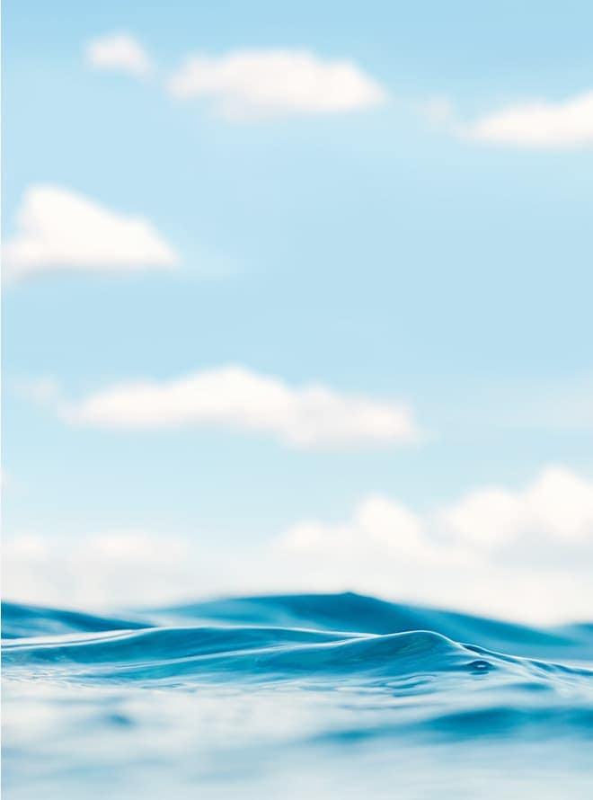 Models | Samsung Galaxy S22 vs S22+ vs S22 Ultra | Samsung Business Canada