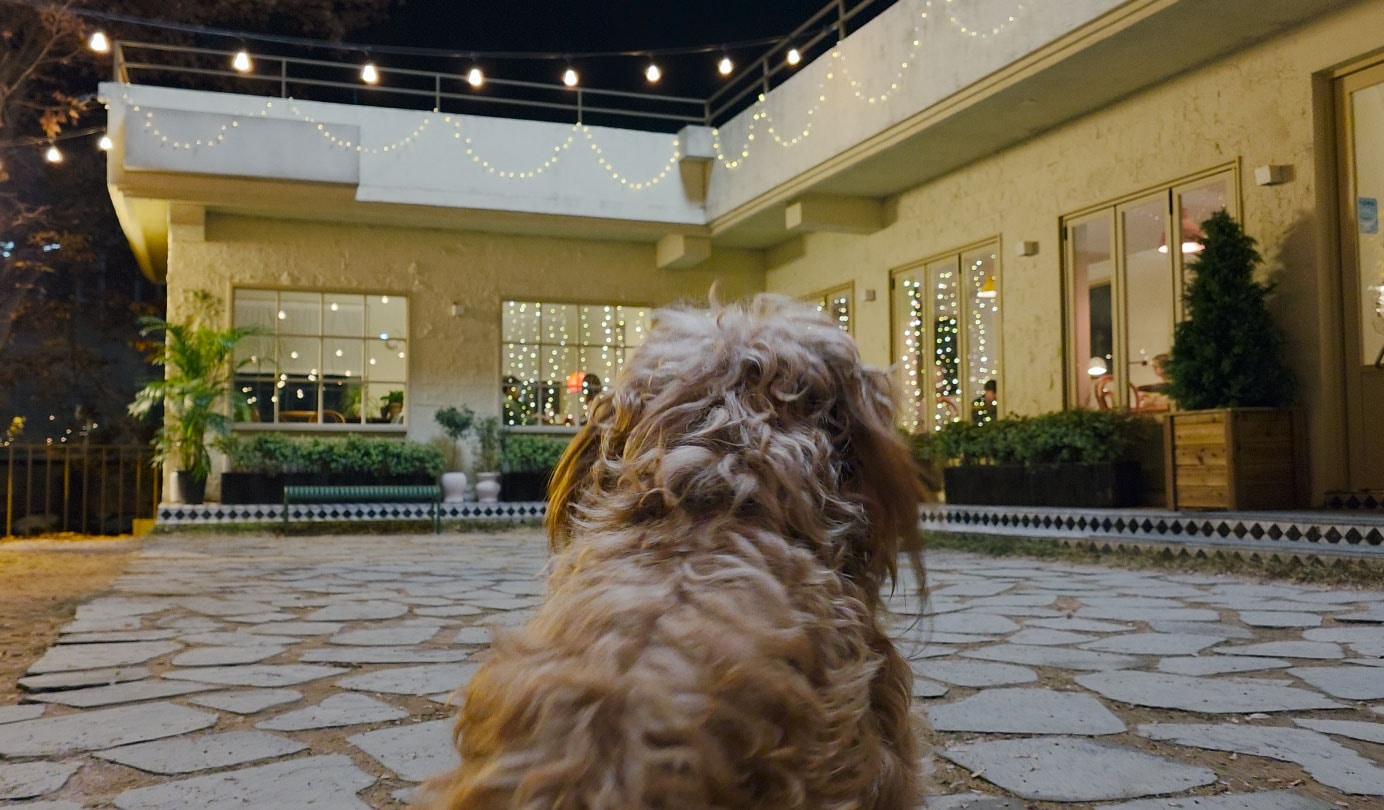 Samsung Galaxy S25 Ultra | Galaxy AI | Samsung HK_EN