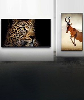 Samsung SMART Signage for Business | Samsung Business Gulf