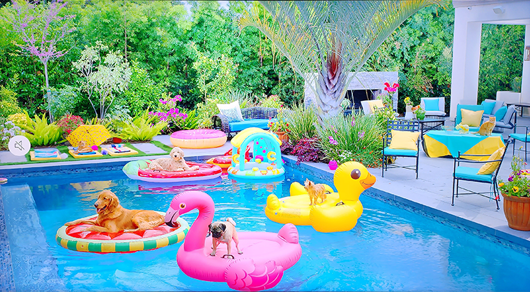 Performing a Picture Test on your Samsung TV | Samsung Australia