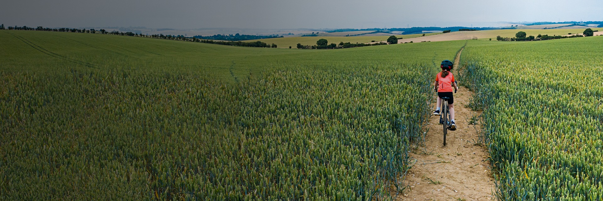 Environment | Sustainability | Samsung Australia