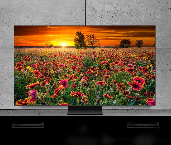 What is QLED, OLED, and Neo QLED? | Samsung Australia