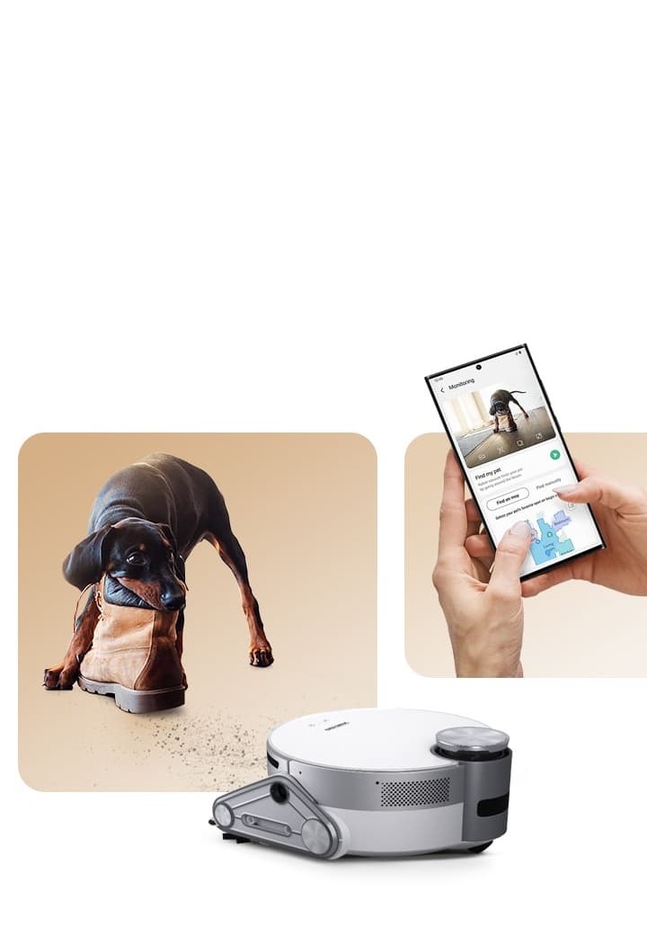 SmartThings Home - Pet Care | Samsung Brasil
