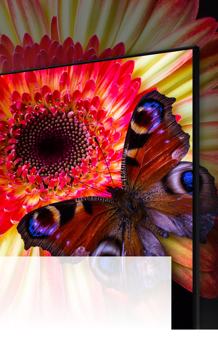 O que é TV 8K, a resolução mais alta | Samsung Brasil