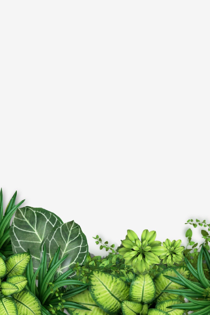Social Responsibility | Samsung CA