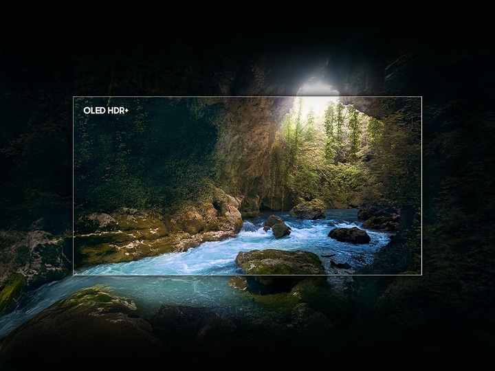 S90F vs. S90D | OLED TV Comparison | Samsung Canada