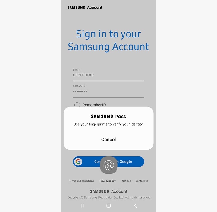 Samsung Pass | Aplicaciones y servicios | Samsung Chile