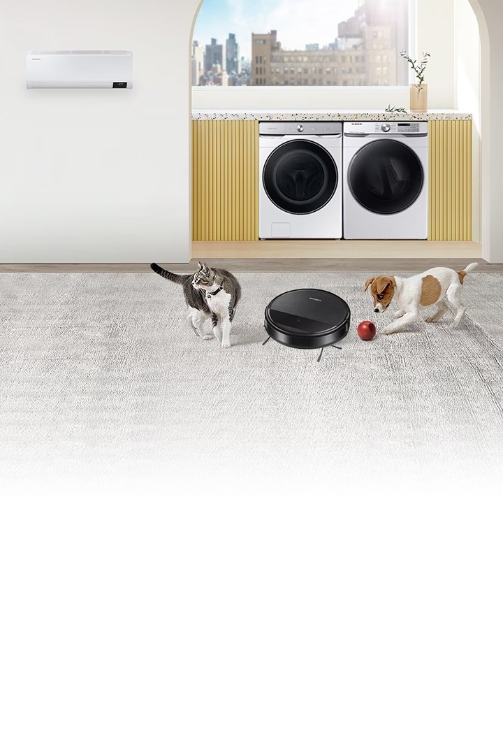 Samsung Pet Care | Samsung Colombia