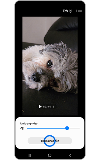 Sử dụng ứng dụng Biên tập Video