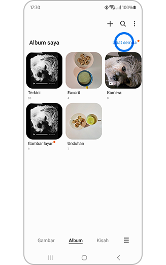 Bagaimana cara mengambil gambar dari bingkai video