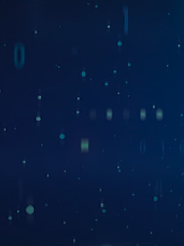 Samsung Business Global Networks | Networks