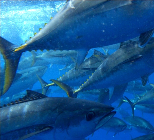 Smart Monitor | Samsung Greece