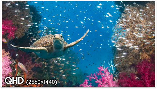 ViewFinity - QHD and 4K/5K High Resolution Monitor | Samsung Hong Kong