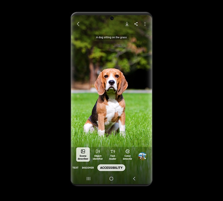 Bixby Vision | Apps & Services | Samsung India