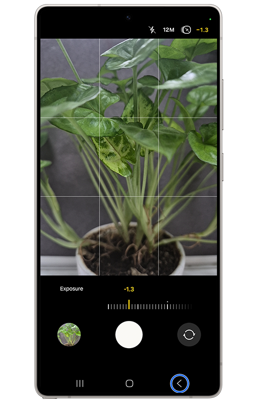 How to adjust Exposure settings in Galaxy devices | Samsung India
