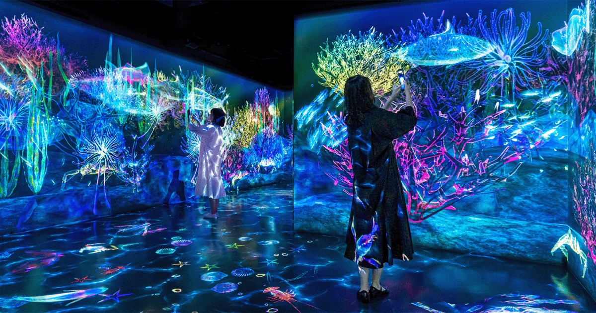 【Galaxy Harajuku】「Galaxy & チームラボ：捕まえて集める恵みの海」が2024年6月14日(金)オープン！ | Samsung Japan 公式