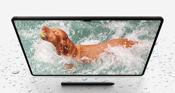 Explore the New Samsung Phones in Jordan | Samsung Jordan