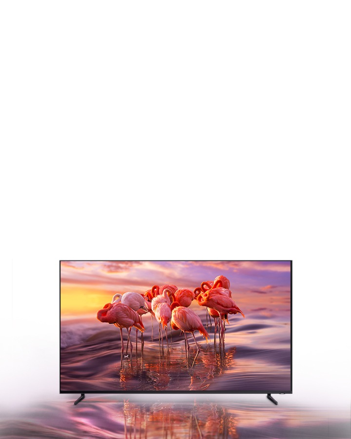 QLED 8K Signage - Hyperrealistisch beeld voor zakelijke toepassingen ...
