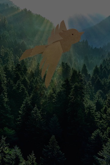 Samsung Explore – Where Tech Defies Barriers | Samsung UK