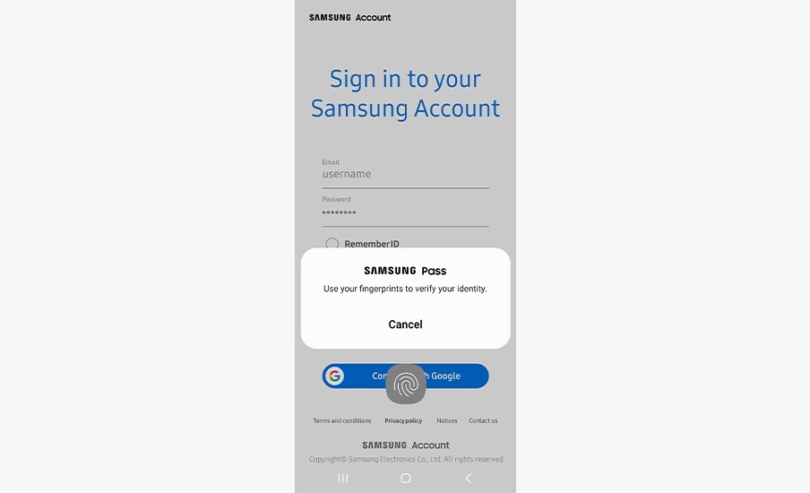 Samsung Pass | Apps e Serviços | Samsung PT