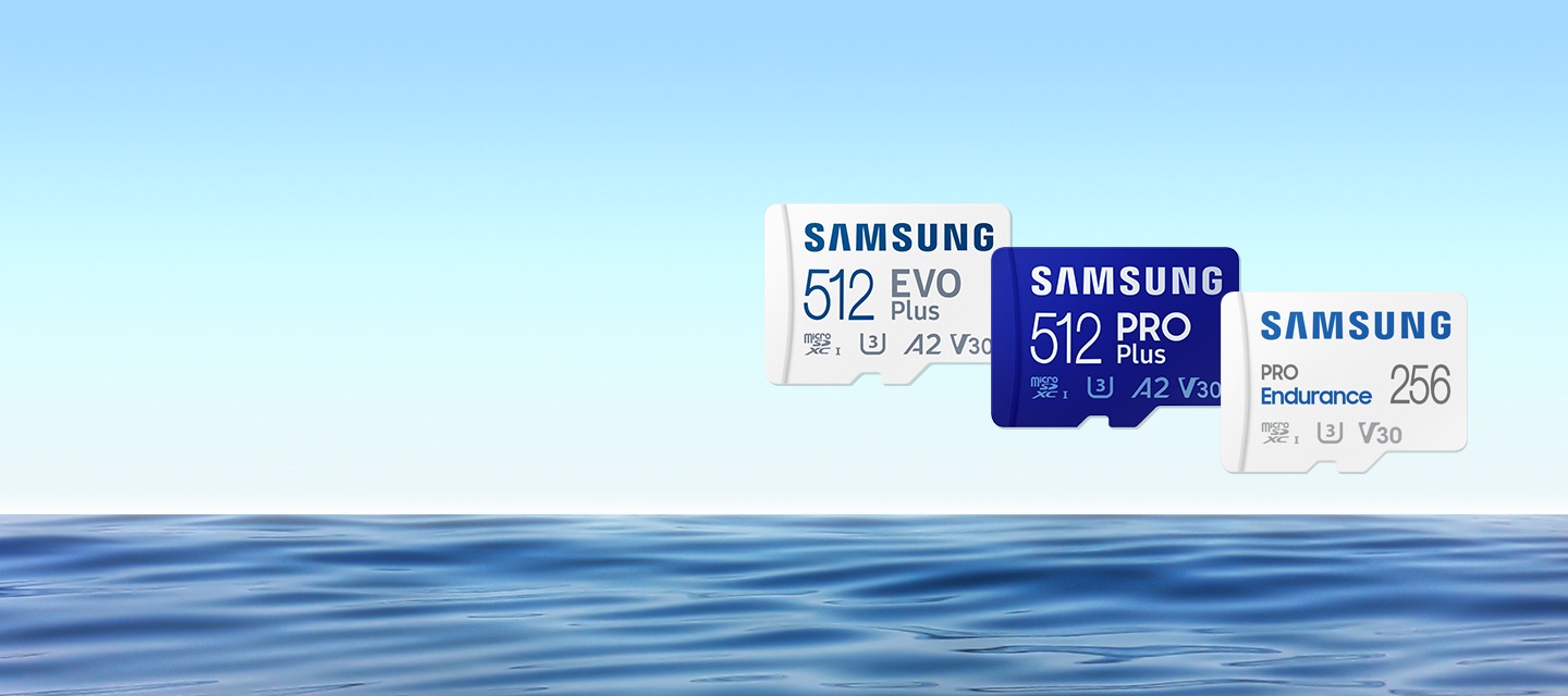 Memory cards | Samsung Singapore