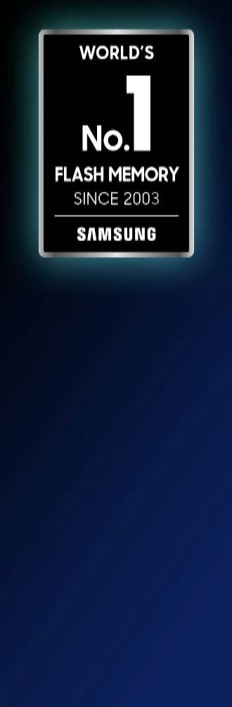 Samsung Memory Cards and Storage Devices | Samsung Singapore