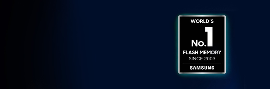 Samsung Memory Cards and Storage Devices | Samsung Singapore