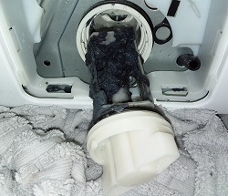 Samsung Washing Machine Drum Care+ Service | Samsung New Zealand