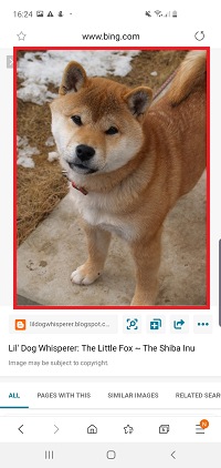 What is Bixby and how do I use it? | Samsung UK