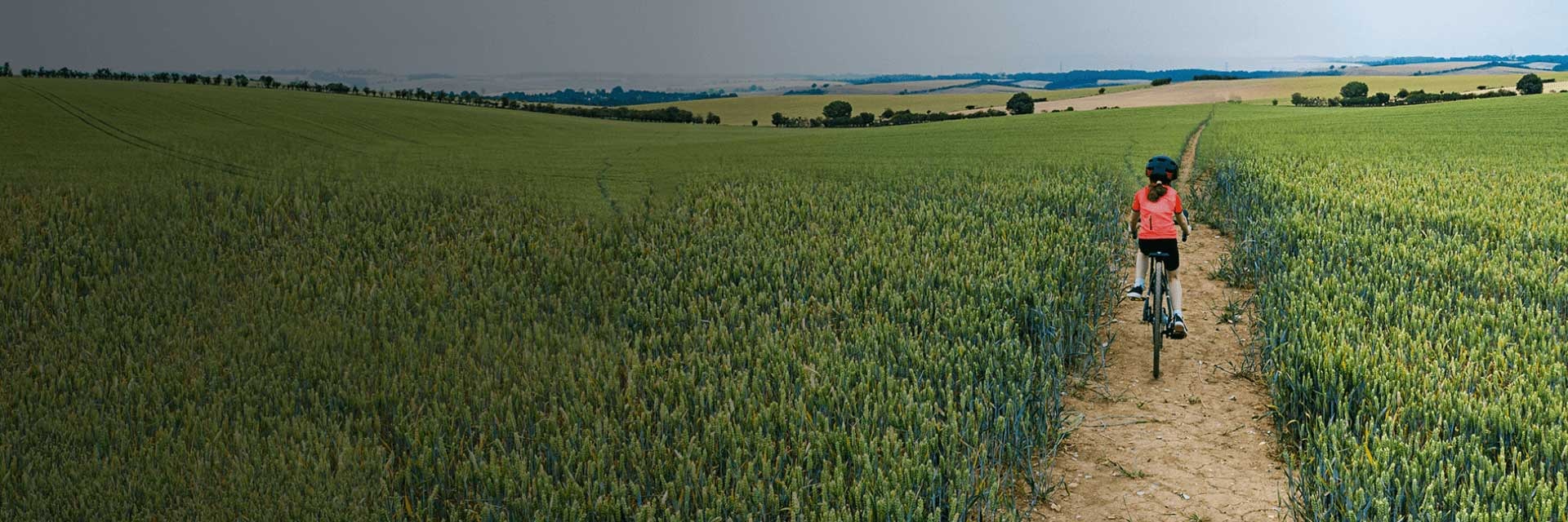 Environment | Samsung UK