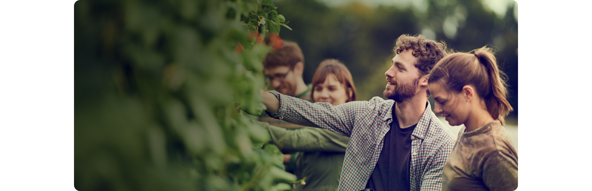 Environment | Sustainability | Samsung United Kingdom