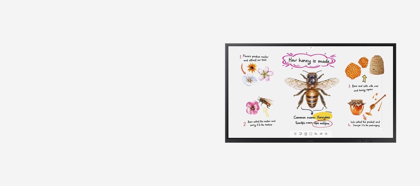 Interactive Displays & Digital Signage | Samsung Business | US