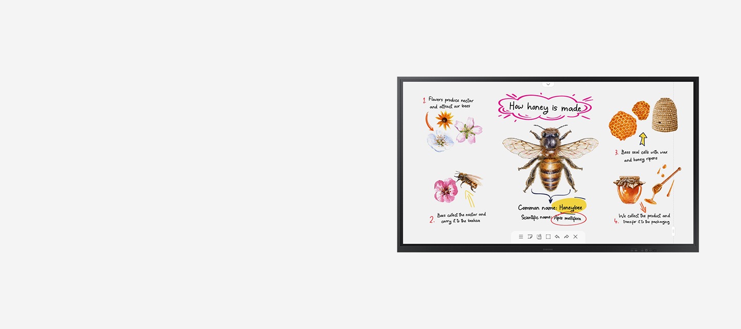 Interactive Displays & Digital Signage | Samsung Business | US