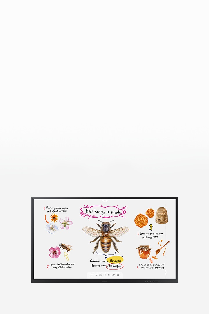 Interactive Displays & Digital Signage | Samsung Business | US