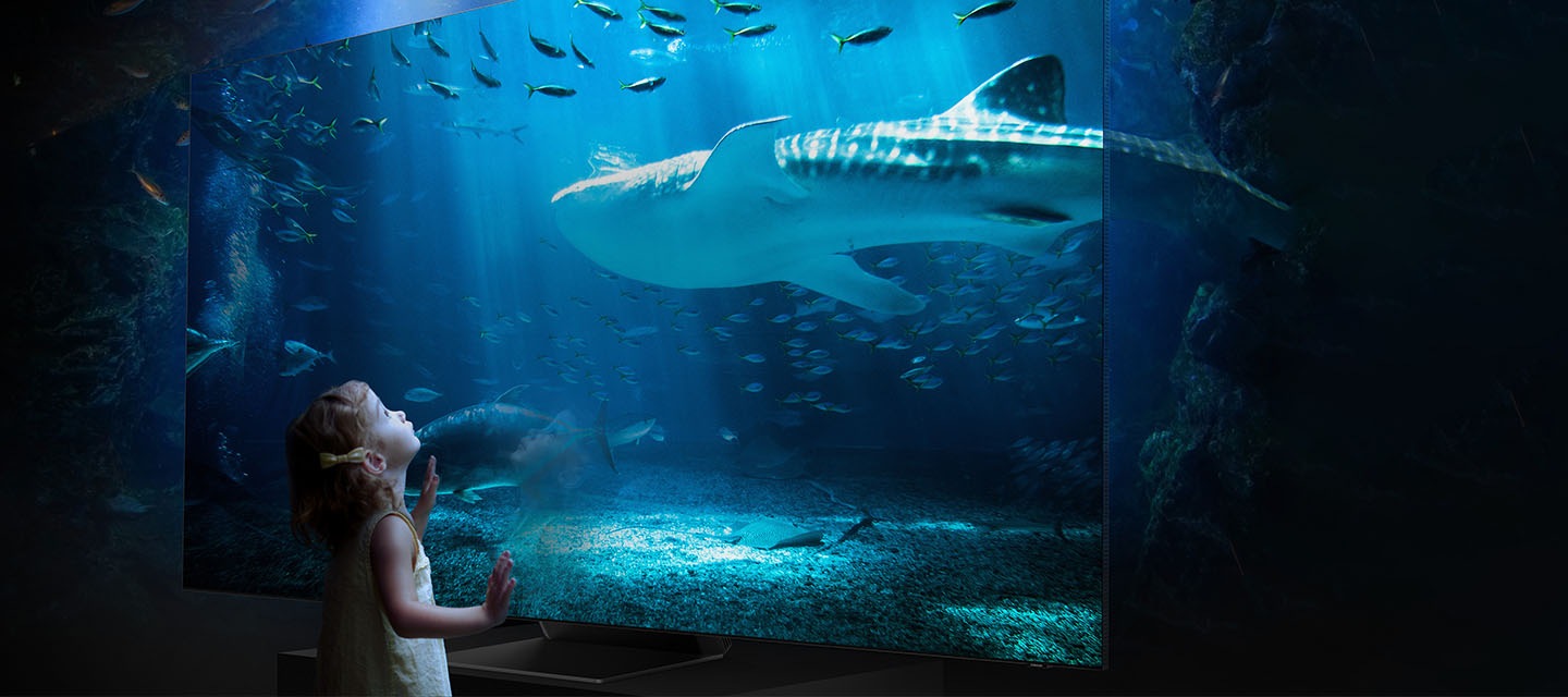 Product and device care stories | Samsung US