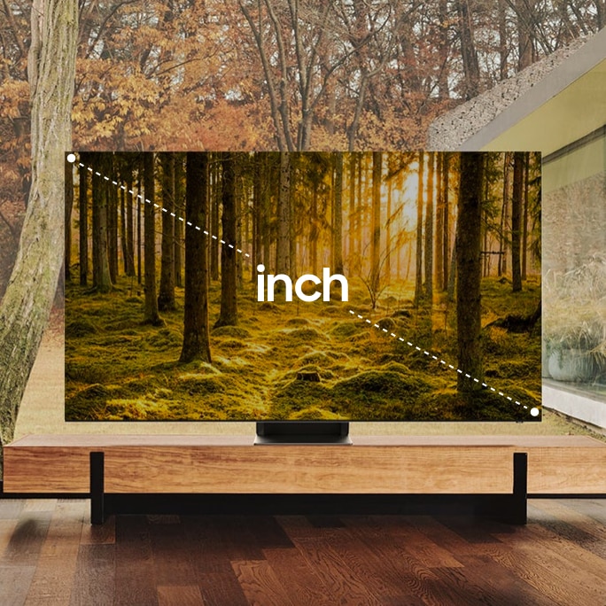 TV Buying Guide | How to Choose a TV in 2024 | Samsung US