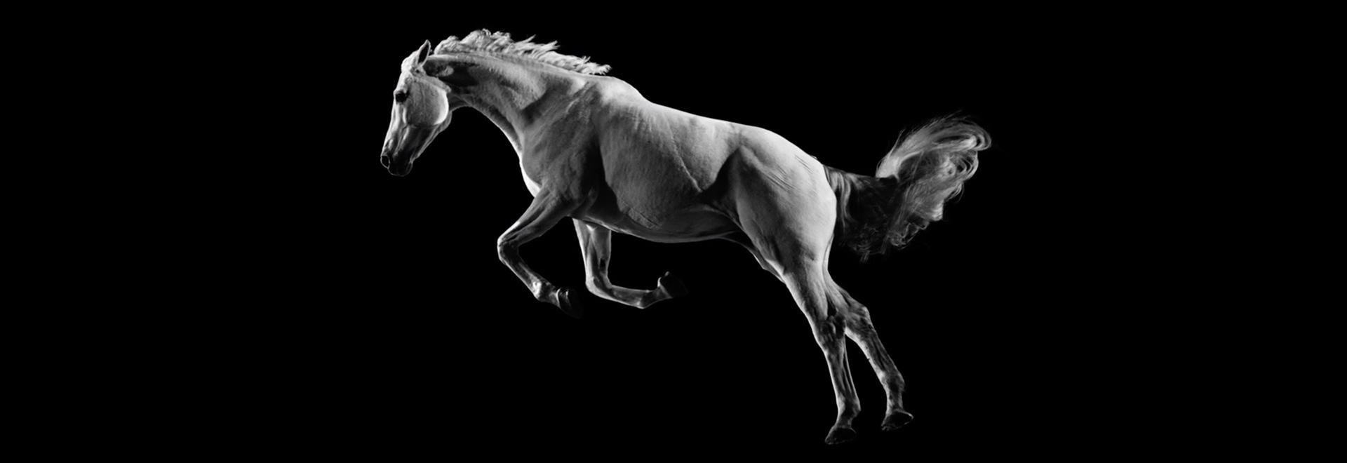 2024 8K Neo QLED AI TV | Samsung Việt Nam