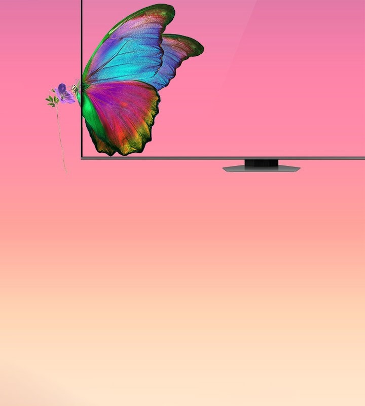 98 Inch TVs | Super Big TVs | Samsung | Samsung South Africa