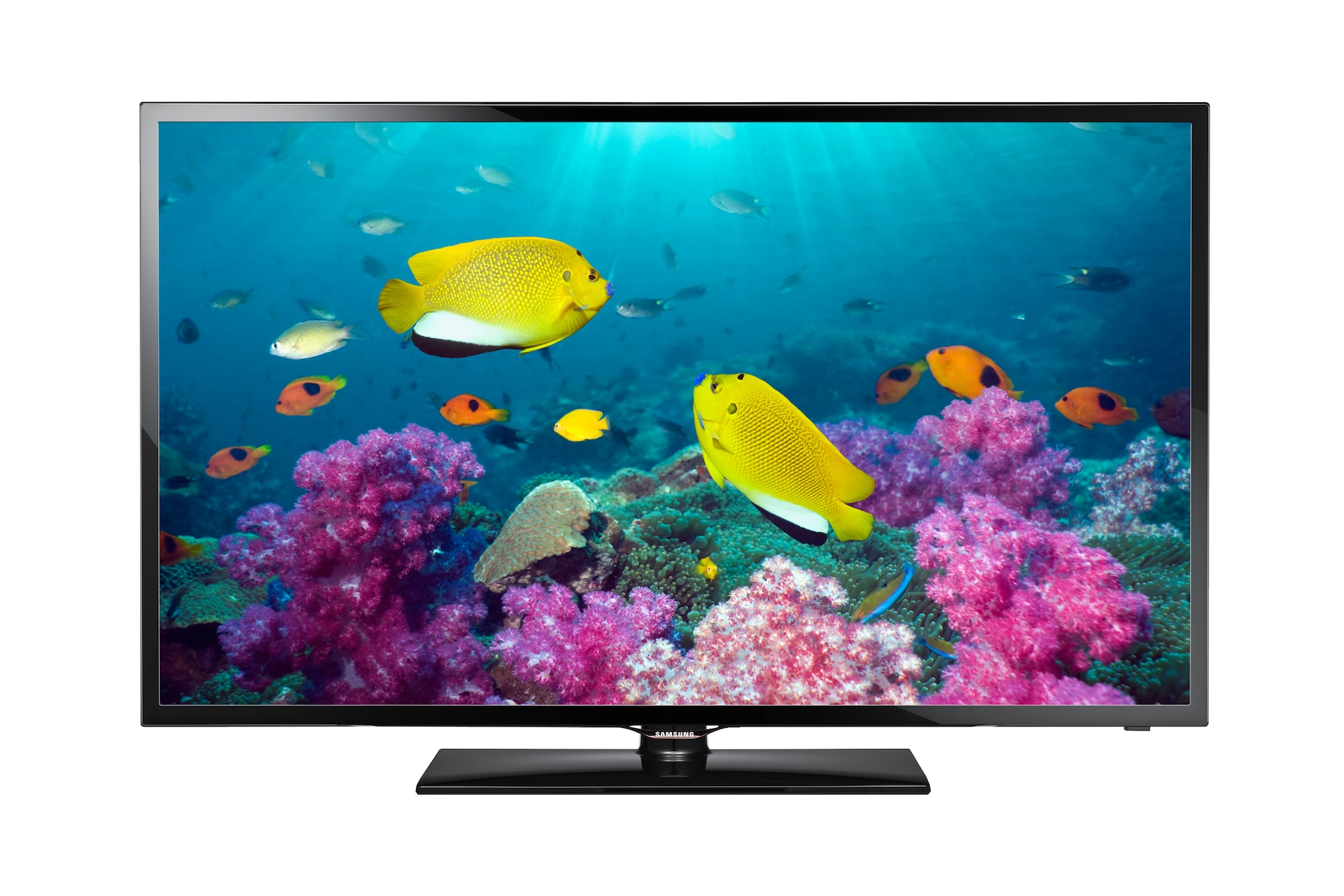 Tv led samsung 42 - sur EnPerdreSonLapin
