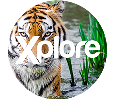 Toutes les chaînes | Samsung TV Plus | Samsung CA | Samsung CA_FR