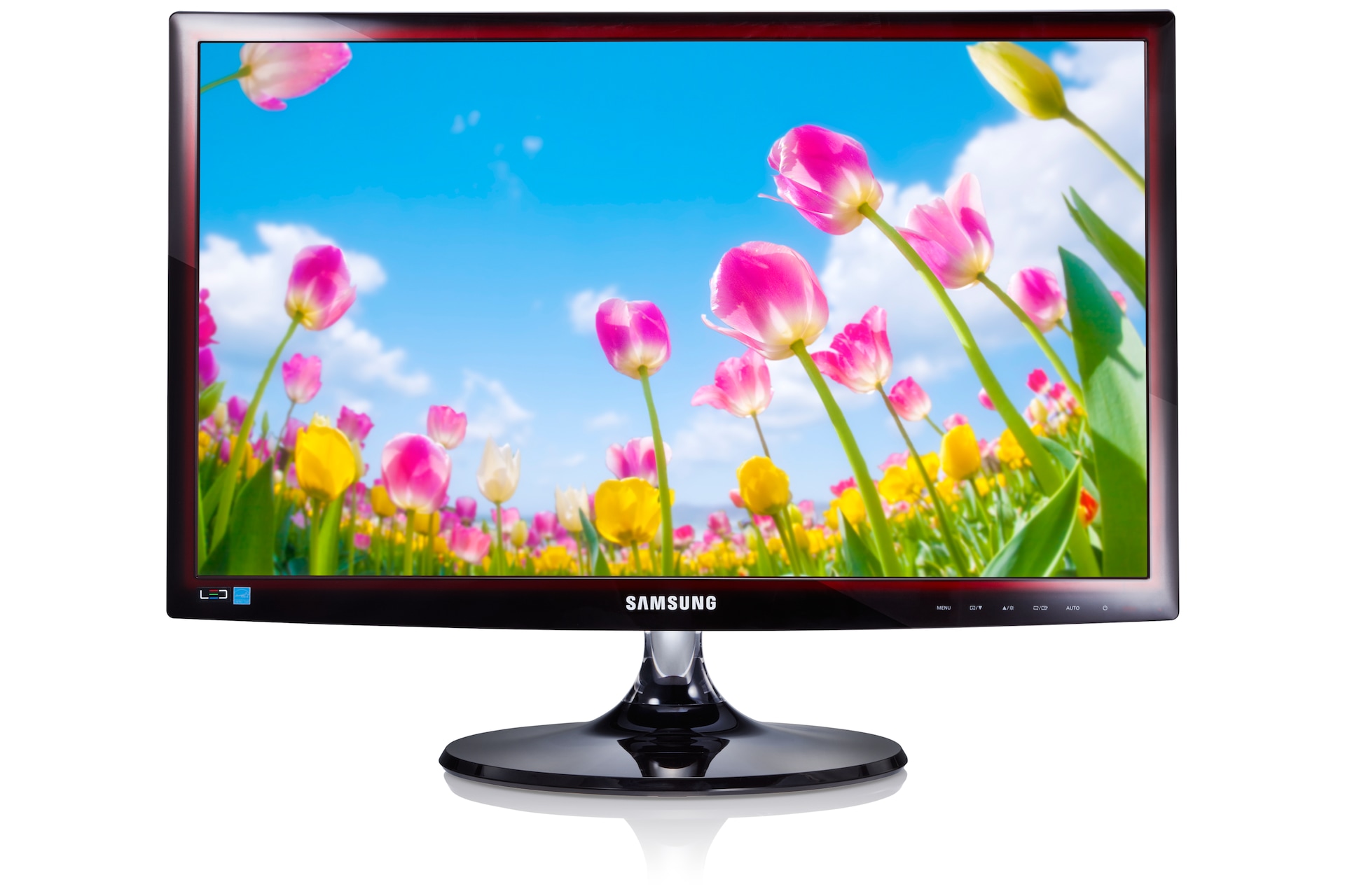 Samsung 대한민국