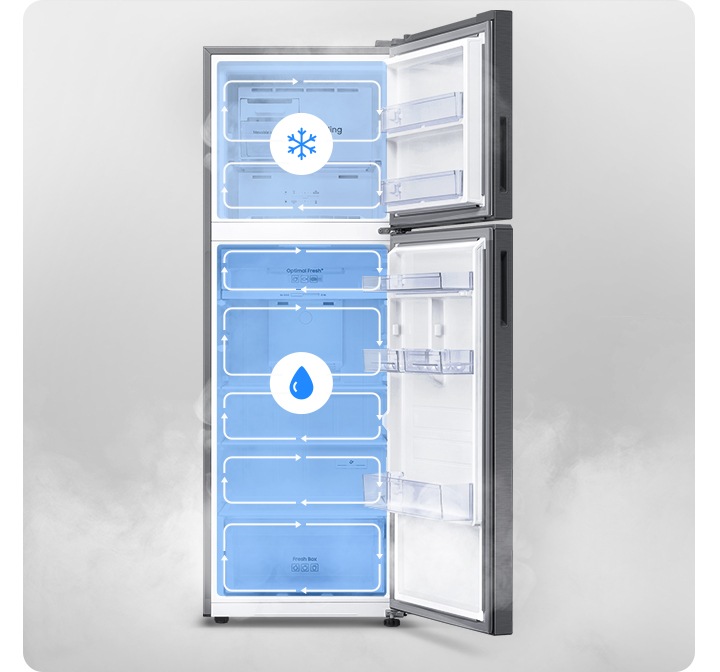 냉장고 298L | RT31CG5624S9 | Samsung 대한민국